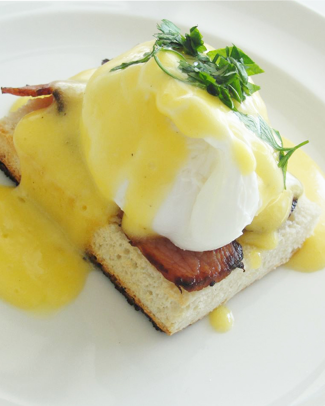 professionalcourses – Scafa Dubai